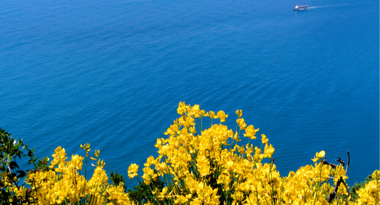 HEP ELEKTRA d.o.o. - Naslovna