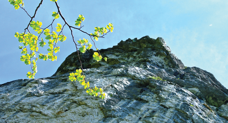 HEP ELEKTRA d.o.o. - Naslovna