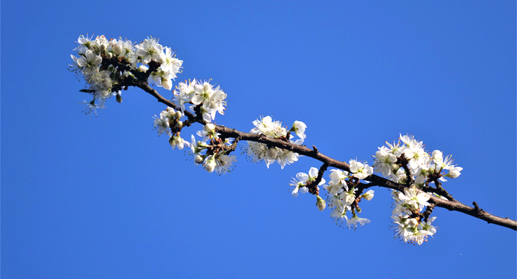 HEP ELEKTRA d.o.o. - Naslovna